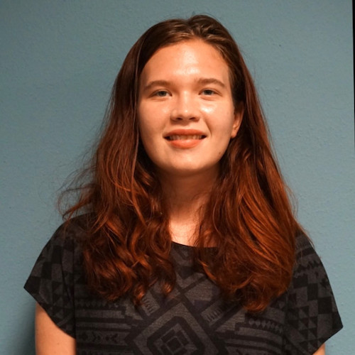 Overleaf Professional Introduction | Fondren Library